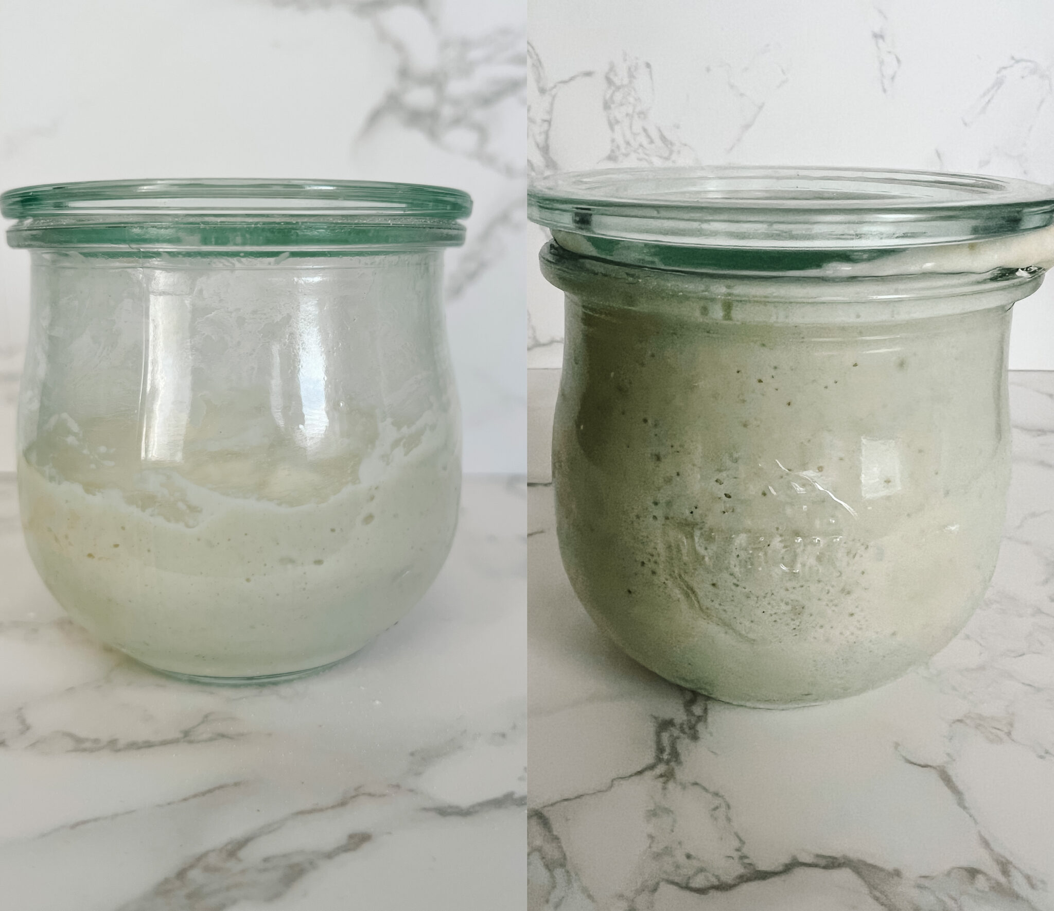 Traditional Fermented Sourdough - Laura Lives the Good Life